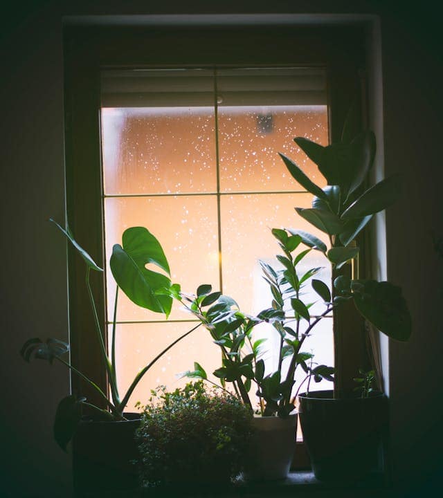 When To Clean Your Windows: Before or After a Storm? | TruShine Window ...